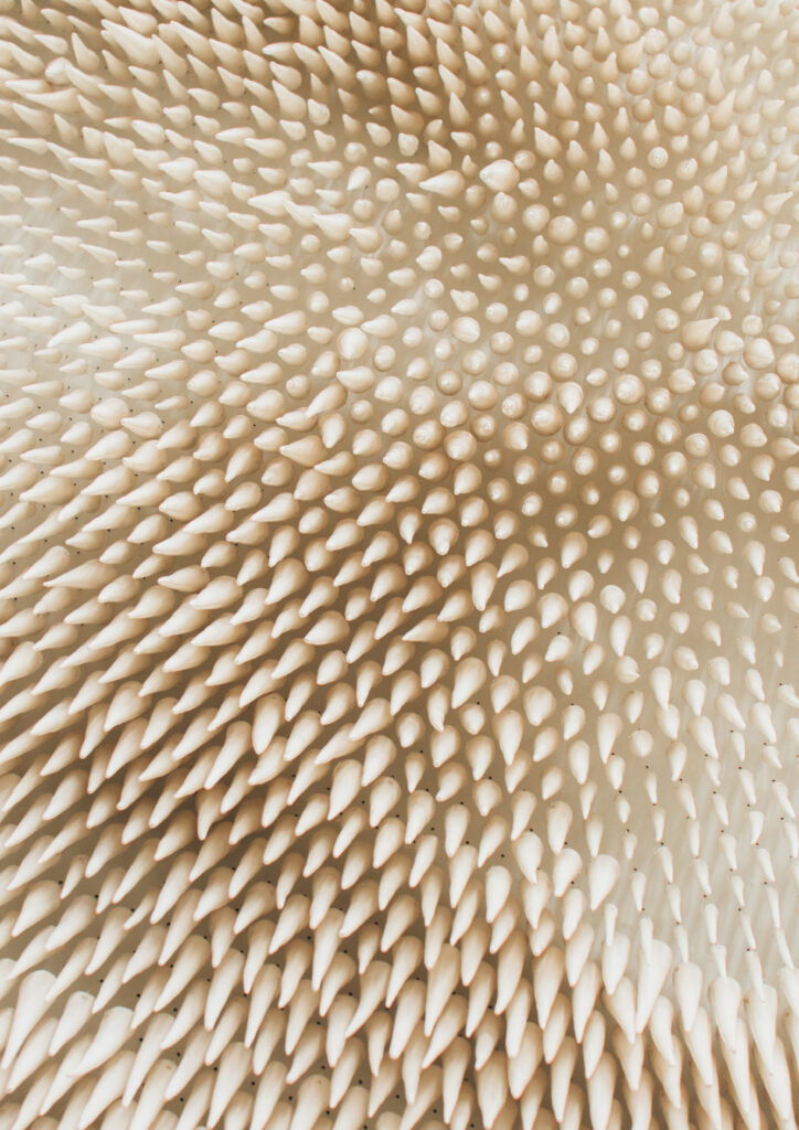Artist Spotlight: Imogen Zino | Surface Design Association