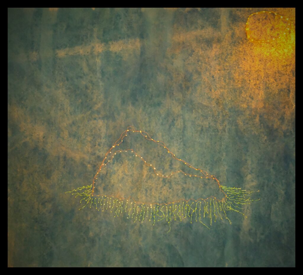 Views-From-The-Boundary-Layer-Emma-Yorke | Surface Design Association