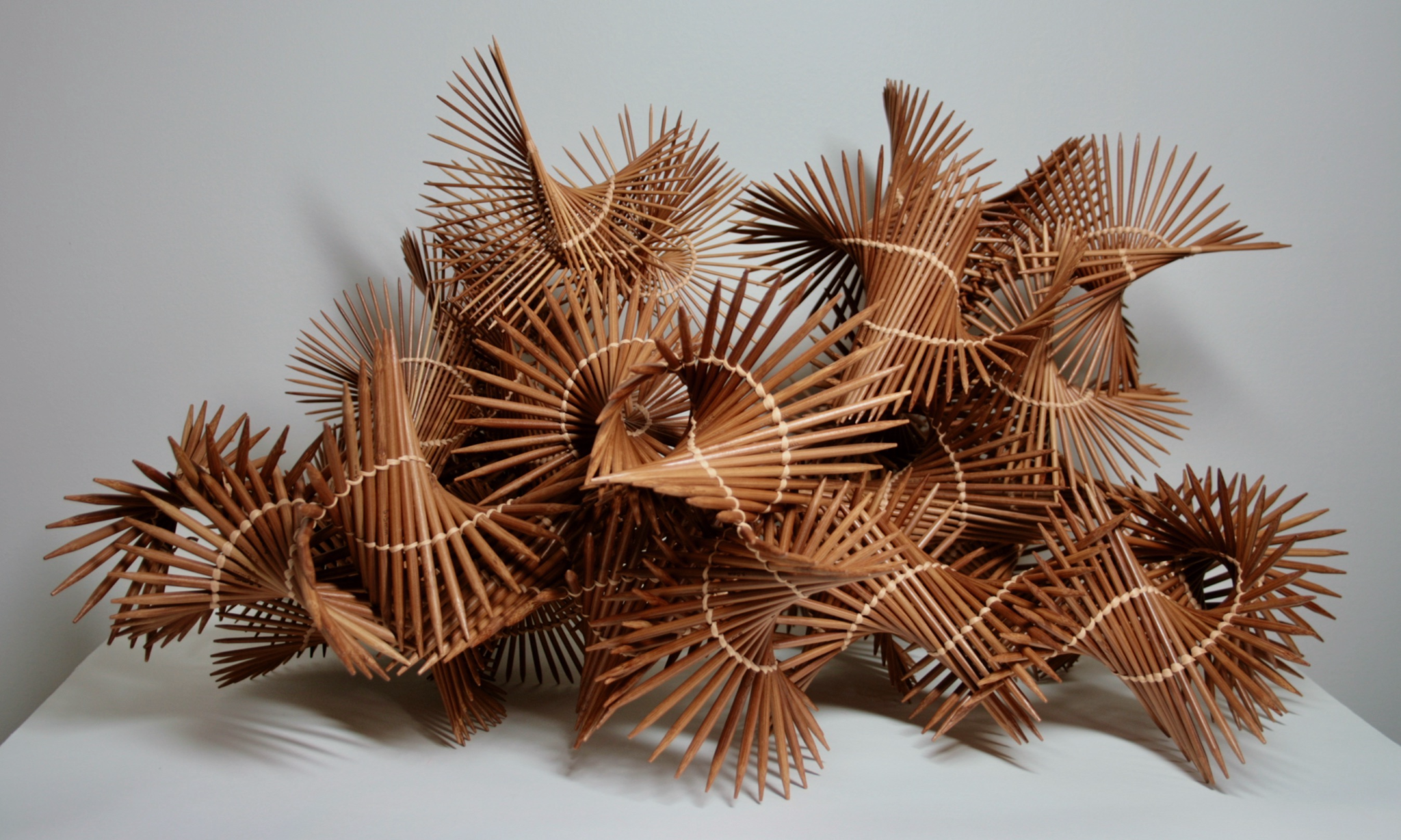 Outstanding Student Awards 2021, Part 2 (of 3) | Surface Design Association