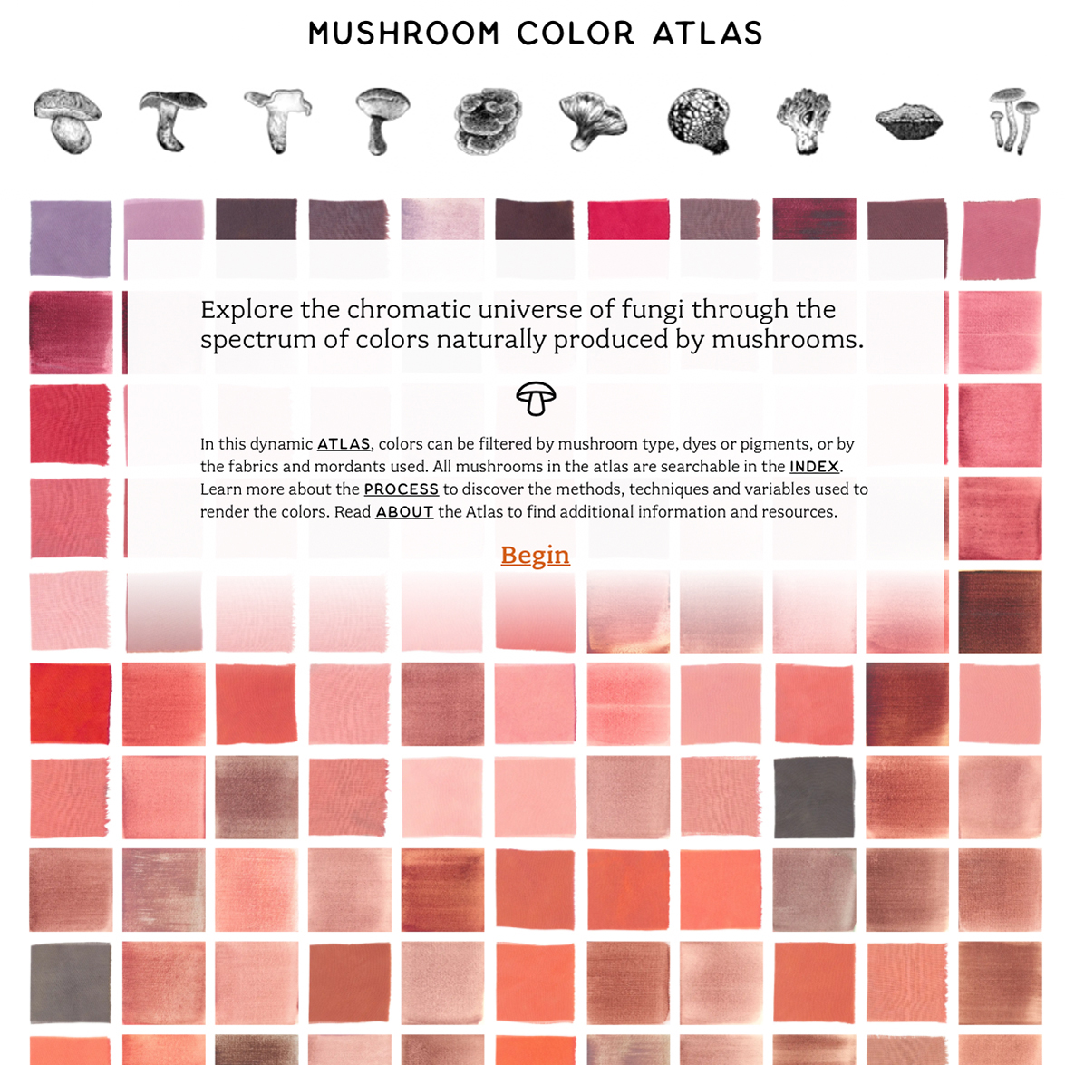 Julie Beeler’s Mushroom Color Atlas | Surface Design Association