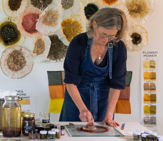 Julie Beeler’s Mushroom Color Atlas | Surface Design Association