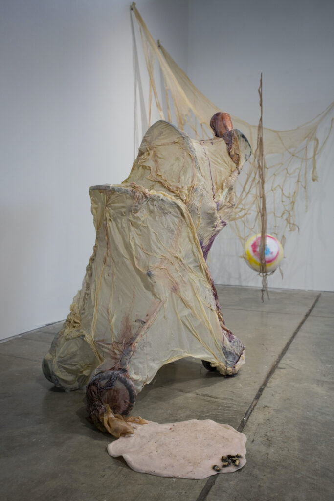 Outstanding Student Awards 2022, Part 1 (of 4) | Surface Design Association