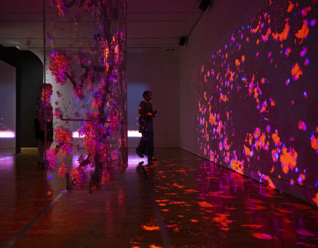 In Review: Ran Hwang at The Baker Museum by Janice T. Paine | Surface ...