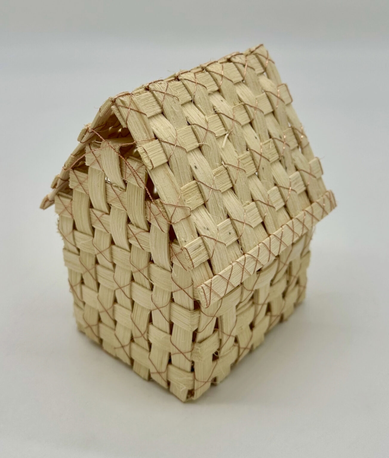 Outstanding Student Awards 2025, Part 1 (of 4) | Surface Design Association